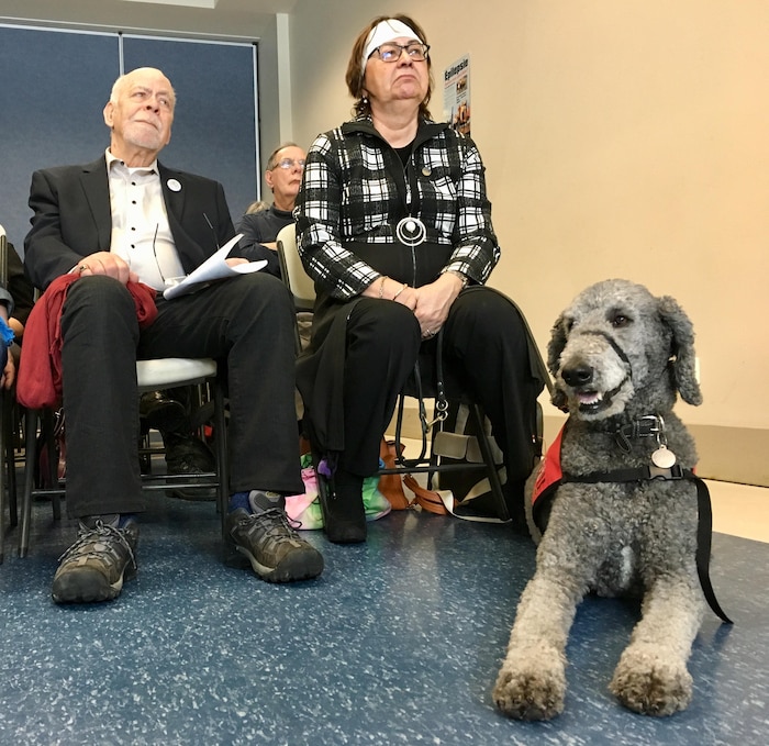 Des politiciens parlent de leur vie avec l'épilepsie | Radio-Canada