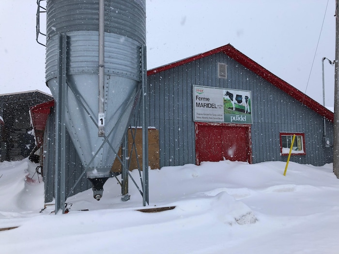 Cinq générations de Blouin à la Ferme Maridel de Saint-Léandre | Radio ...