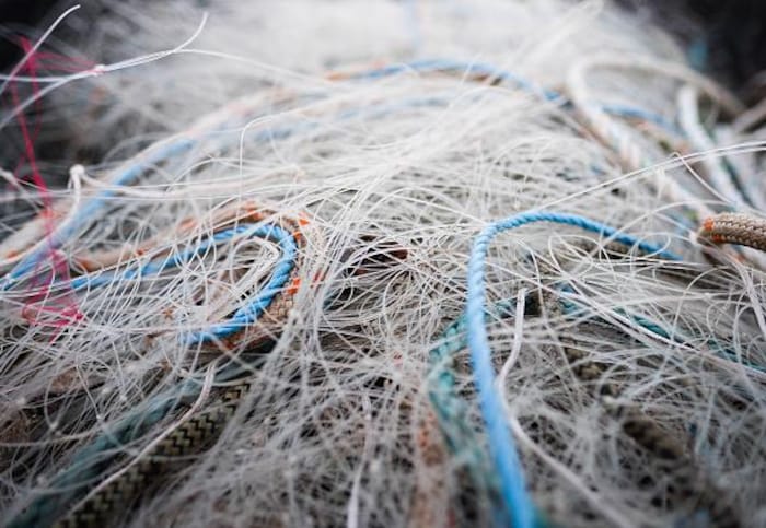 Cinq choses à savoir sur les droits autochtones de chasse et pêche ...