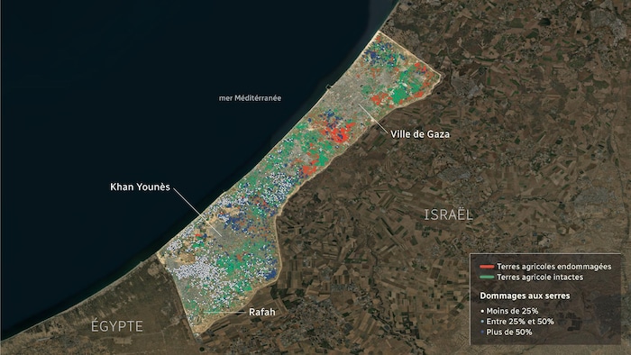 Après six mois de guerre, Gaza en cartes et en graphiques | Radio-Canada