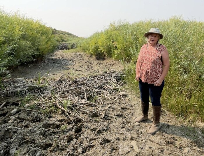 ’A societal issue’: Drought-plagued Alberta braces for even worse ...