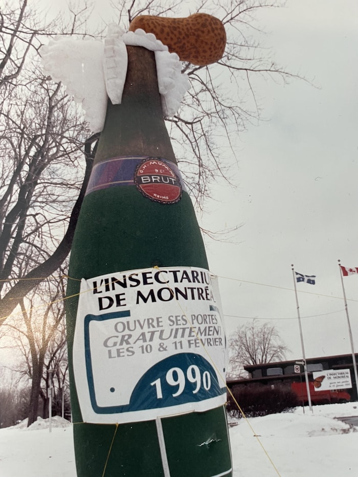 35 ans de l’Insectarium : émerveiller pour protéger | Radio-Canada