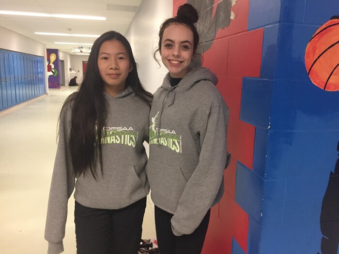 Le championnat provincial de gymnastique intrascolaire pourrait ...