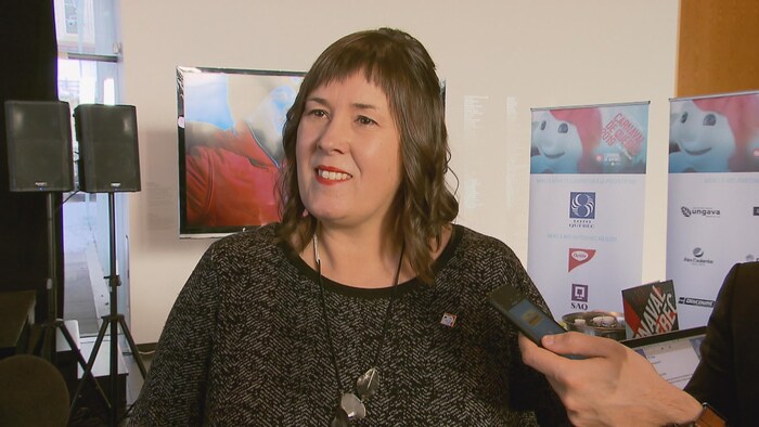 Carnaval 2019 : palais de Bonhomme renouvelé à la place Georges-V ...