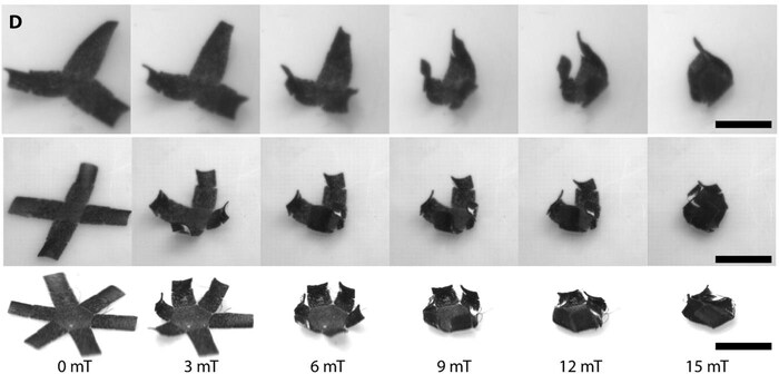 L’origami et le magnétisme au service des microrobots | Radio-Canada