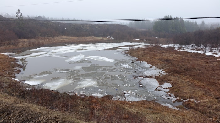 Miramichi bouleversée par la mort de quatre adolescents | Radio-Canada
