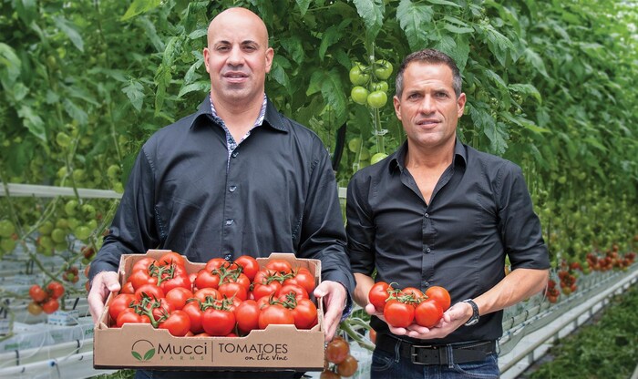 Coûts de l'électricité : une entreprise agricole de Leamington préfère ...