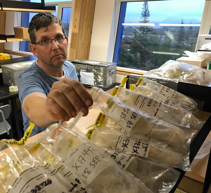 L'avenir sombre des ours polaires de Churchill | Radio-Canada