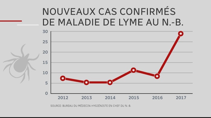 Maladie de Lyme : quatre fois plus d’infections en 2017 au N.-B ...