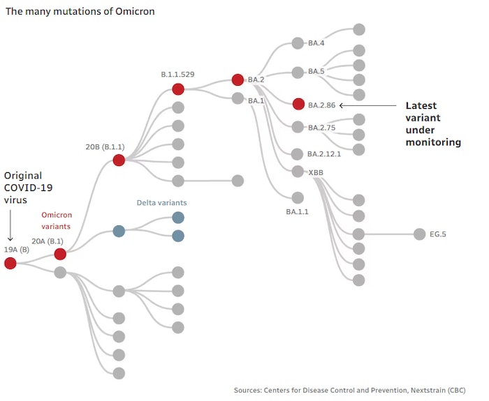 Highly mutated COVID virus variant BA.2.86 showing up in multiple countries | Radio-Canada.ca