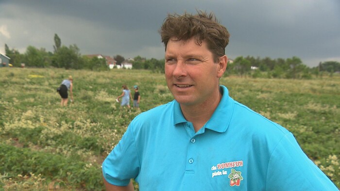 Le temps sec menace les récoltes au Bas-Saint-Laurent | Radio-Canada