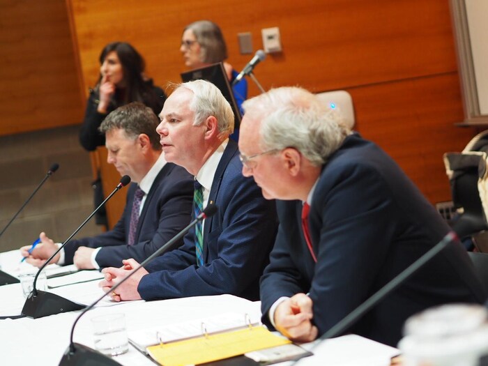 Le Parti vert à l’Î.-P.-É, c’est 50 nuances de vert | Radio-Canada