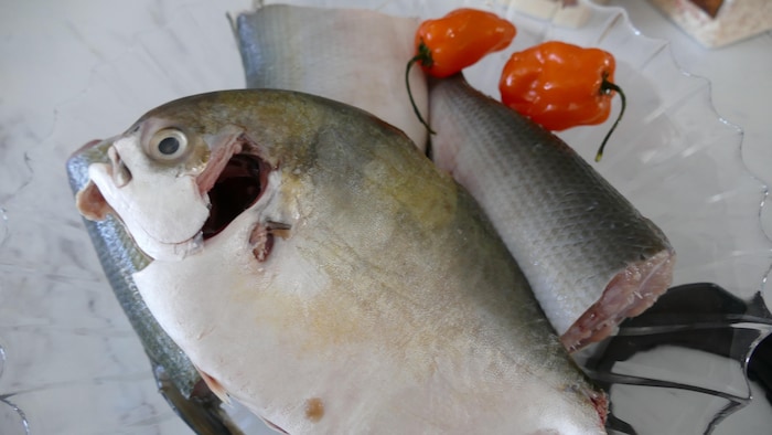 Vos meilleures recettes franco-manitobaines : le poisson au riz | Radio ...