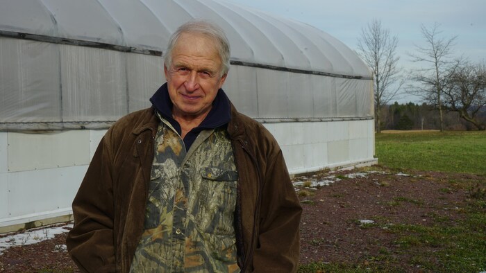 Cannabis : des normes « trop sévères » pour les producteurs québécois ...