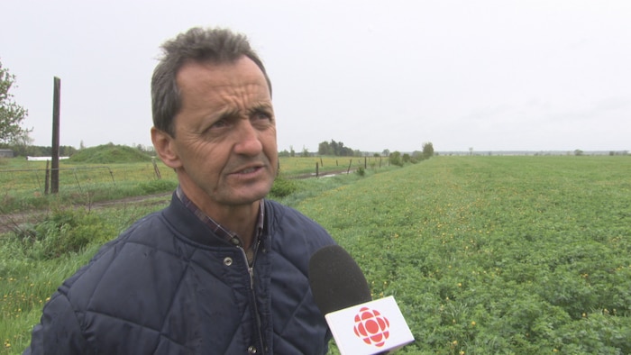 Un printemps à oublier pour les agriculteurs | Radio-Canada