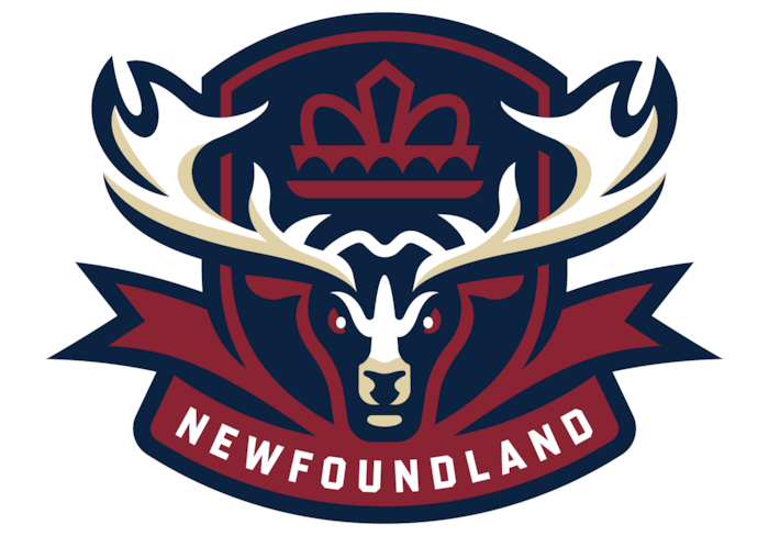 Le Régiment de Terre-Neuve, nouveau club de la LHJMQ, dévoile ses ...