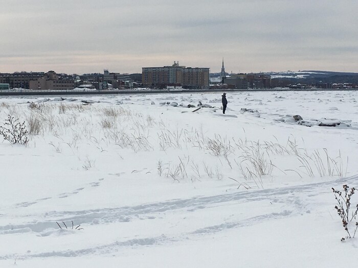 Idées pour une ville de Rimouski plus contemporaine | Radio-Canada