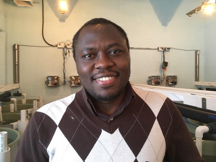 Élevage d'ombles chevaliers : sur la voie de la réussite | Radio-Canada