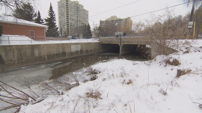 Des ruisseaux presque aussi salés que l’eau de mer à Mississauga ...