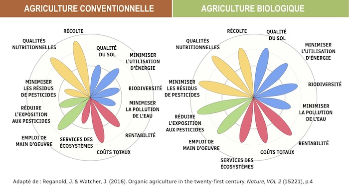 Le bio rend-il service à l'environnement? | Radio-Canada