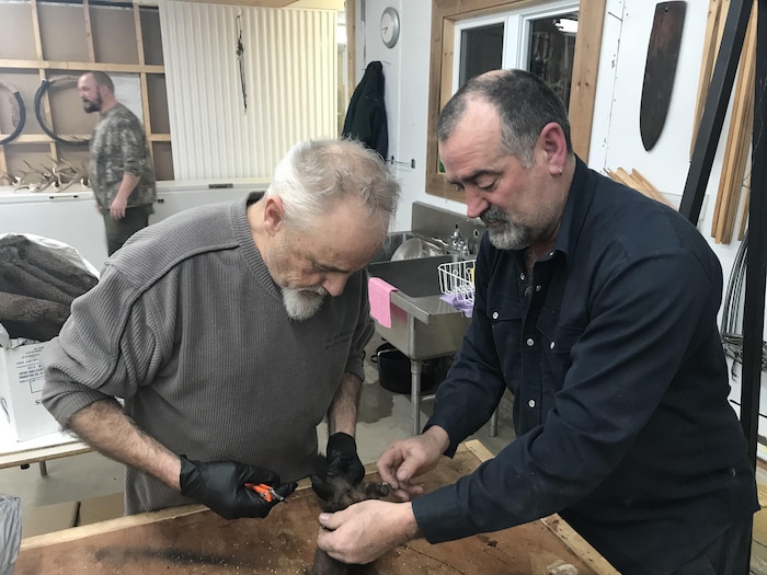 Des soirées pour apprendre les bases du dépiautage | Radio-Canada