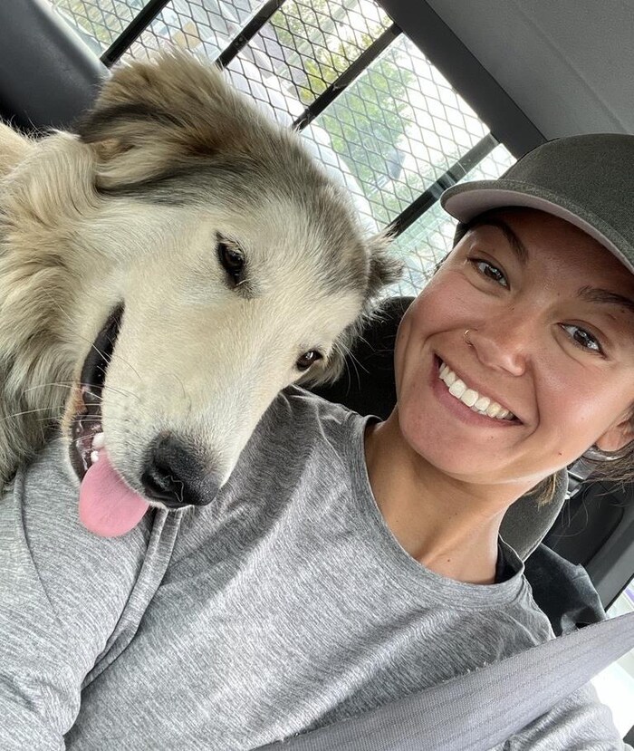 Des cliniques mobiles et des services de télémédecine vétérinaire sont ...