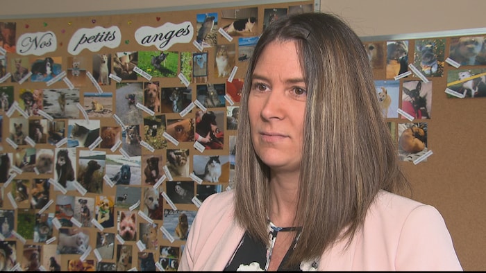 Une nouvelle façon de faire le deuil de son animal de compagnie | Radio ...