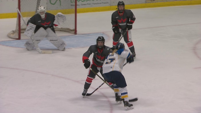 De Bertrand à Rimouski : le parcours étonnant de la hockeyeuse Audrey ...