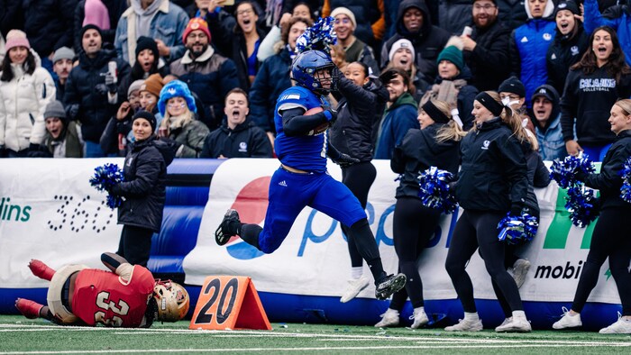 Les Carabins, heureux négligés devant les Mustangs | Radio-Canada