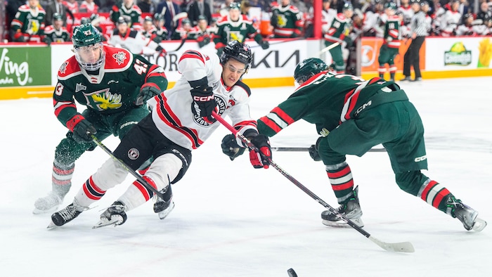 Les Remparts à une victoire du titre, les Mooseheads au bord du gouffre ...