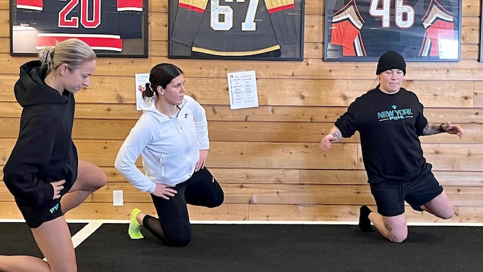 La vertigineuse entrée en scène de Pascal Daoust et du hockey féminin à ...