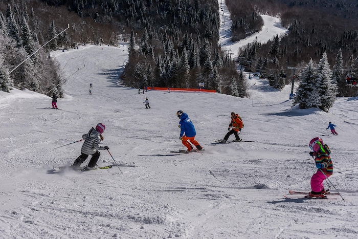 Erik Guay et Valérie Grenier nommés skieurs canadiens de l'année ...