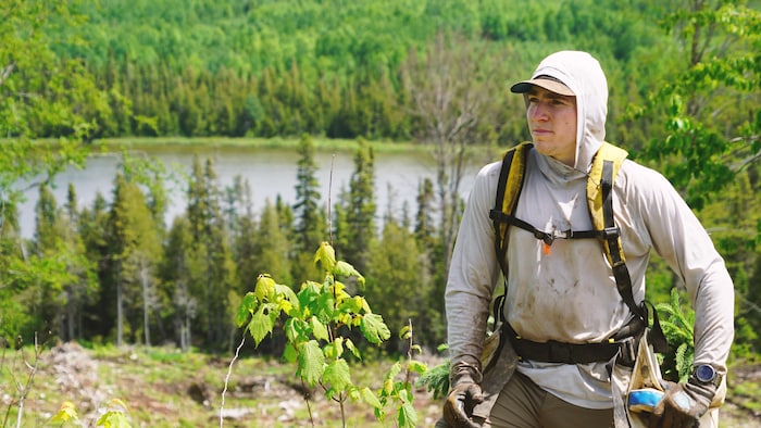 Antoine Moses, plus d’un million d’arbres plantés et un record Guinness ...