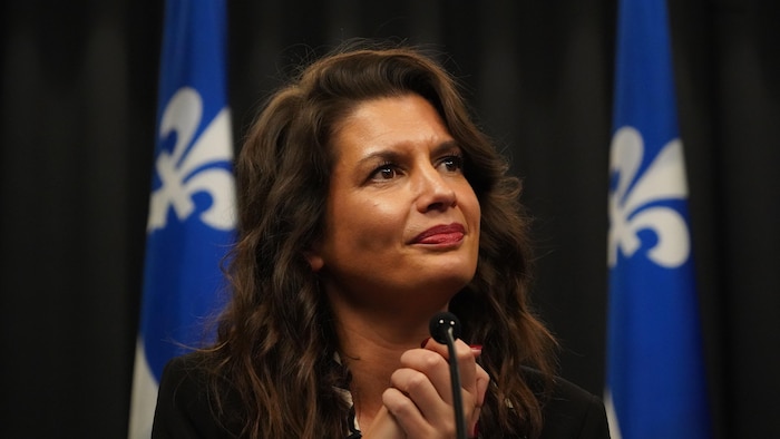 Québec pourrait retirer sa subvention aux F-150 électriques des ...