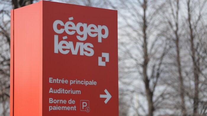 Cégeps : 1441 étudiants supplémentaires dans la Capitale-Nationale et ...