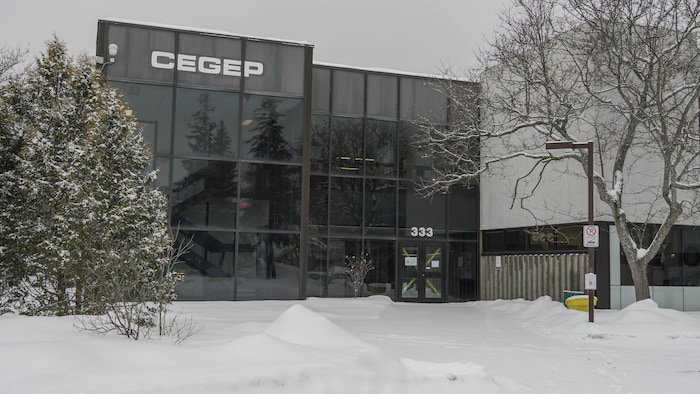 Le Cégep de l’Outaouais souhaite l’ajout de 4 nouveaux programmes ...