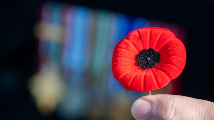 Le coquelicot du jour du Souvenir fête ses 100 ans | Radio-Canada