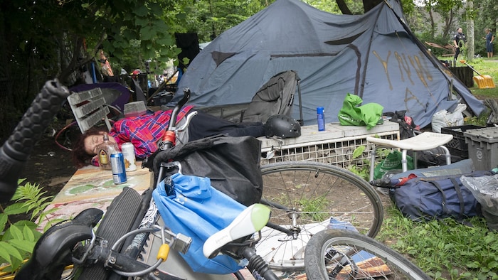 Itinérance : Québec tarde à accepter les dizaines de millions de ...