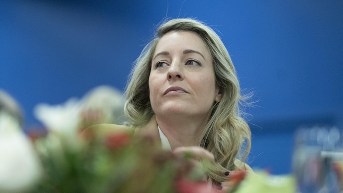 Ottawa s’oppose au « déplacement forcé des Palestiniens » suggéré par ...