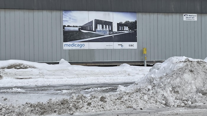 « Très peu » de candidats pour acheter les opérations de Medicago ...