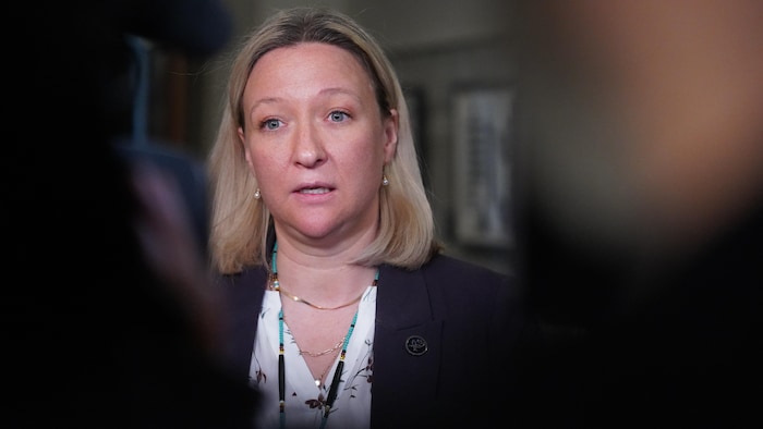 Régime forestier : des Autochtones visés par un racisme décomplexé sur ...