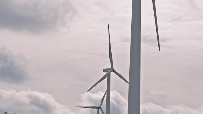 Kedgwick rêve d’un parc éolien et veut s’agrandir | Radio-Canada