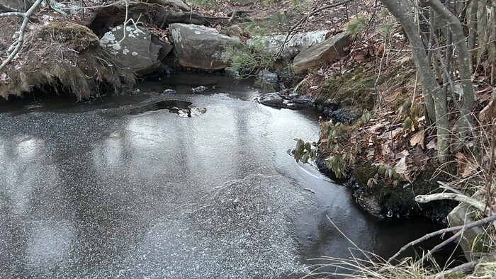 Halifax met fin aux tests de glace pour le patinage sur les lacs ...