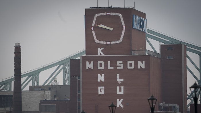 « Molson », « Kong » et « Sluk » : l’usine Molson vandalisée à Montréal ...