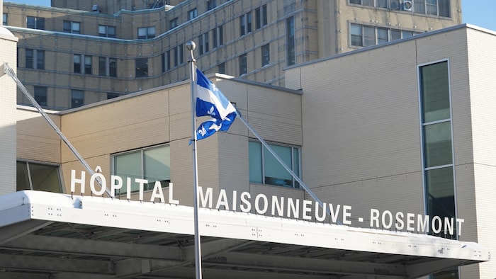 Le projet final de reconstruction de Maisonneuve-Rosemont dévoilé en ...