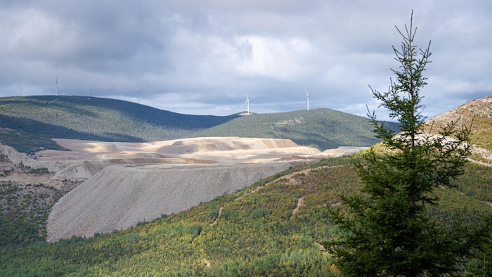 Relancer la mine de cuivre de Murdochville serait rentable | Radio-Canada