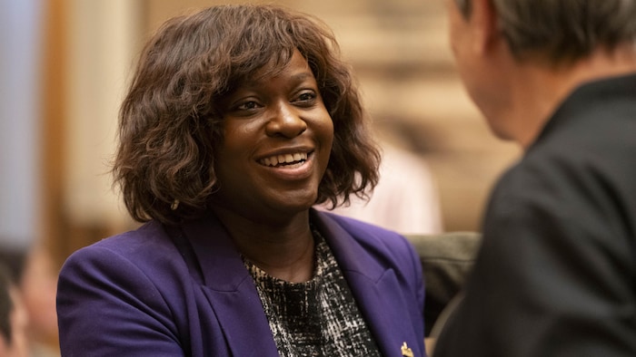 Coup d’envoi pour la course à la chefferie de Projet Montréal | Radio ...