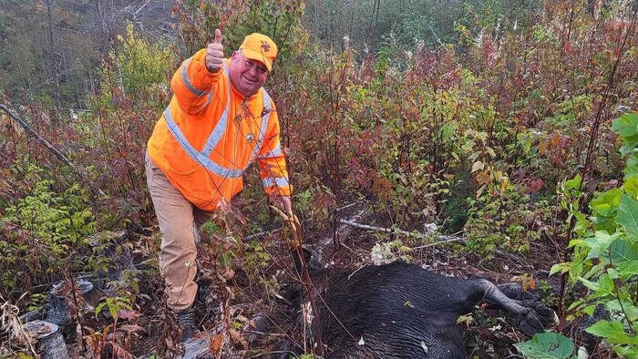 Tirage au sort des permis de chasse à l’orignal : encore de nombreux ...