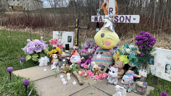 Disparition de Madison Roy-Boudreau : la police soupçonne Steven ...