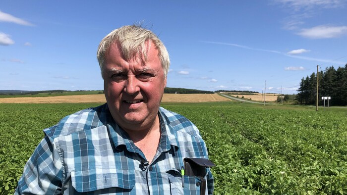 Le temps chaud et pluvieux inquiète l’industrie de la pomme de terre du ...